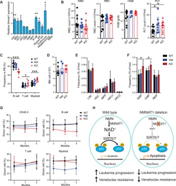 Nuclear NAD+homeostasis governed by NMNAT1 prevents apoptosis of acute ...